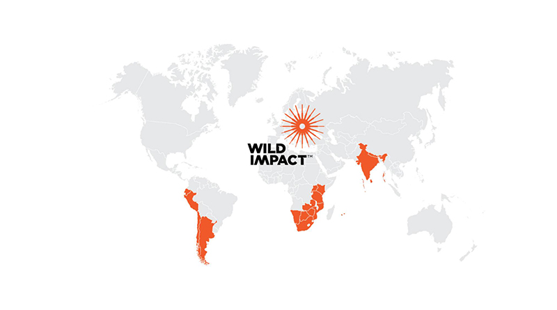 Wild Impact Internships 2024 / 2025 - Careers Office