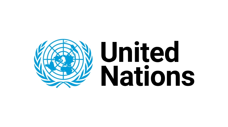 United Nations Internship Programme 2025 - Careers Office